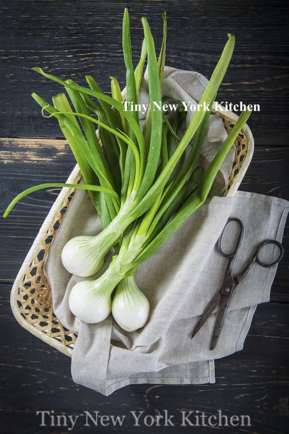 Spring Onions - Tiny New York Kitchen