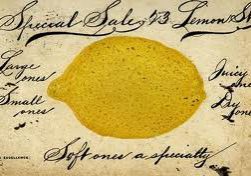 Camille’s Delicious Pumpkin Cheesecake - Tiny New York Kitchen